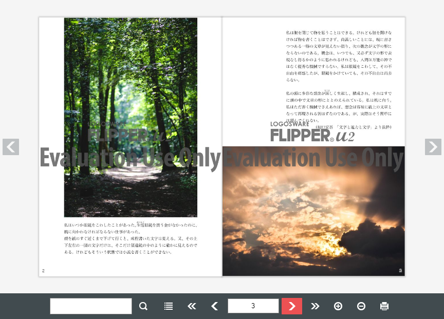 FLIPPER U2：体験版の制約事項 – ご利用者さま向けFAQ